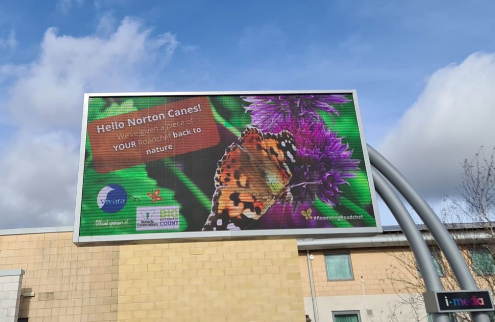 Signage & Large Format | Titchfield Group